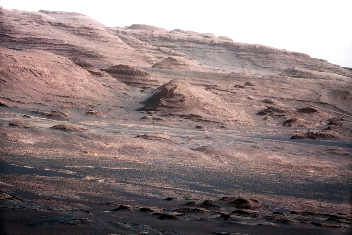 Scientists find bugs that could indicate there is hidden life on Mars ...