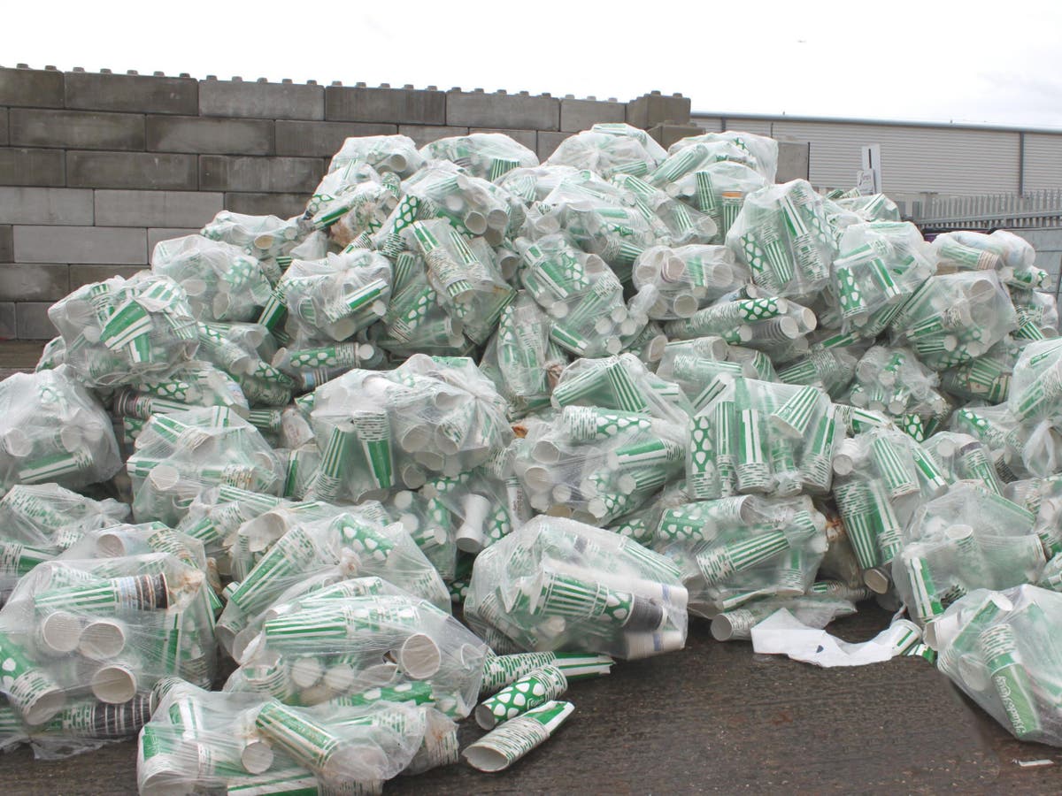 Businesses and government need to take responsibility for disposable ...