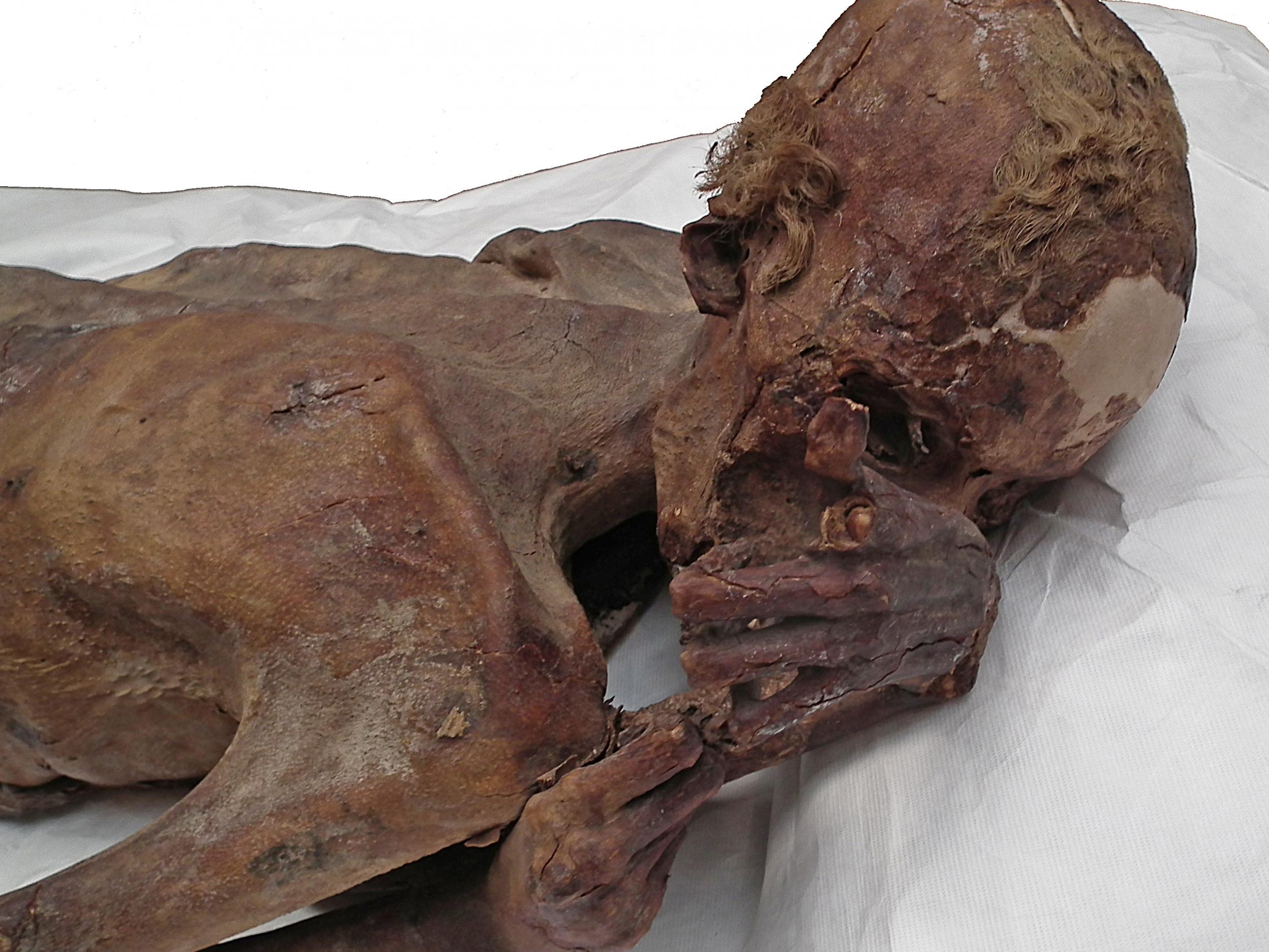 Why UK museums aren’t handing back human remains, despite calls to do ...