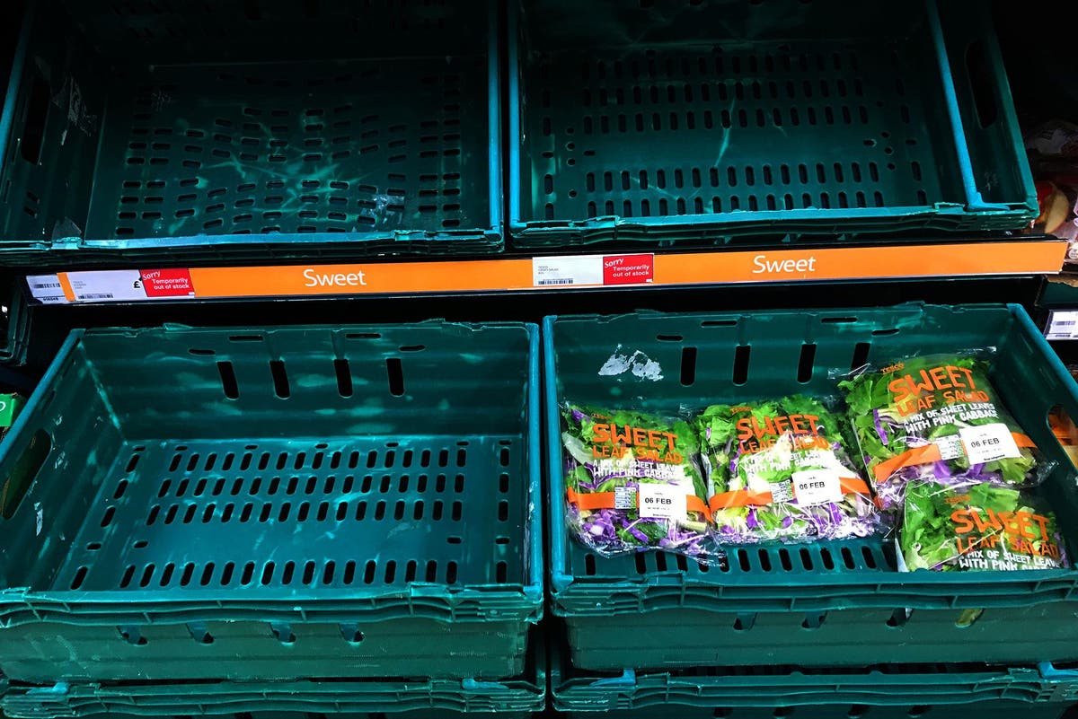 Brexit: UK faces unprecedented food crisis if no trade deal secured ...
