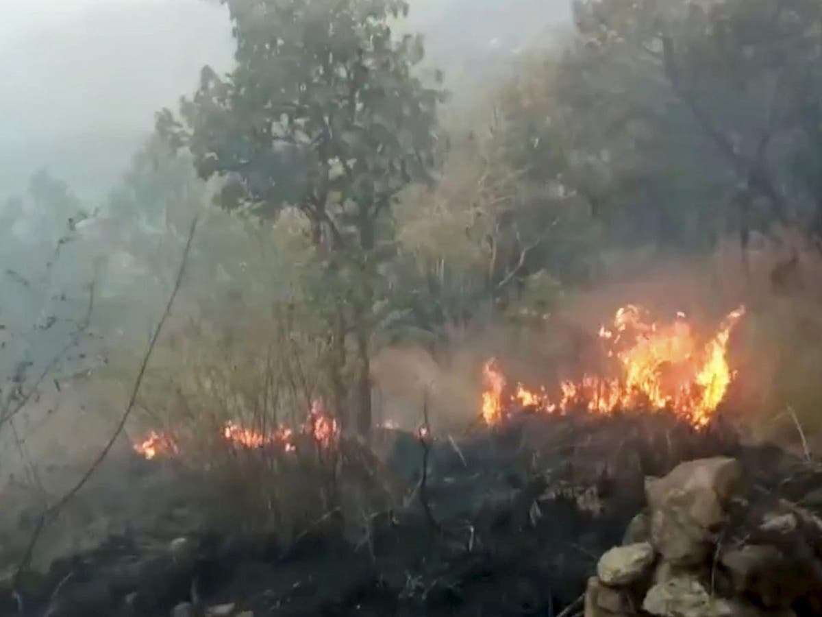 Indian forest fire kills nine after trapping nearly 40 trekkers | The ...