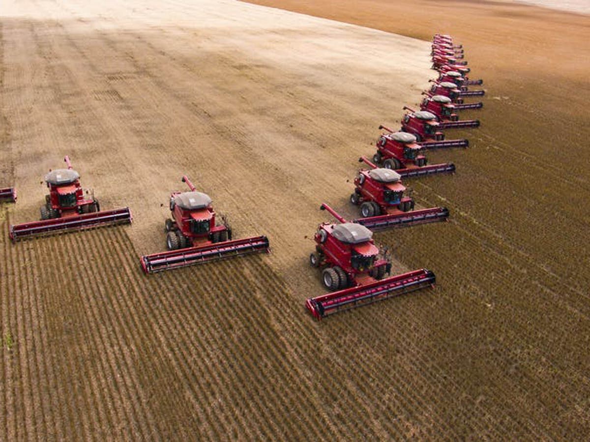 How we can keep our food system from the brink of apocalypse | The ...