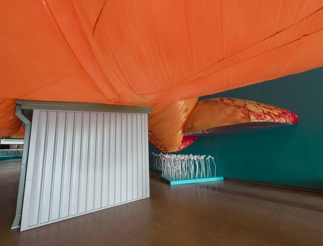 With affection and humour, Patricia Piccinini probes the boundaries of ...