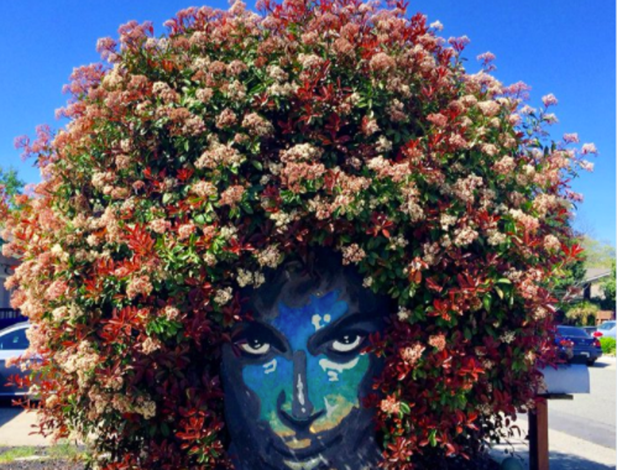 Prince mural surrounded by 'hair' of flowers in stunning natural ...