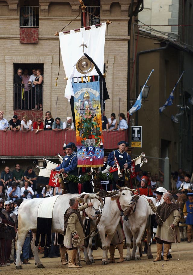 What it's like to witness the Palio di Siena, possibly the most lawless ...