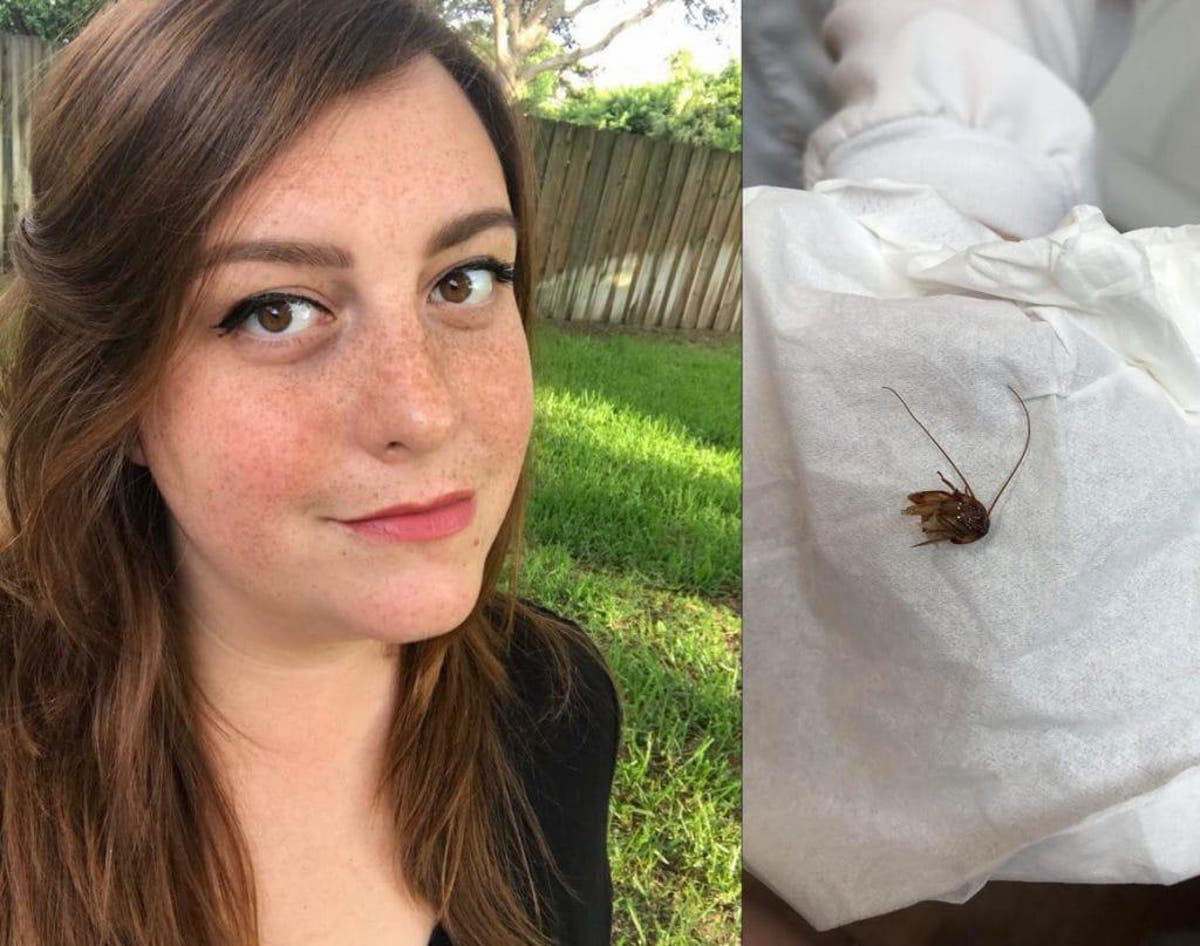Cockroach removed from woman’s ear canal after nine days: 'It was a ...