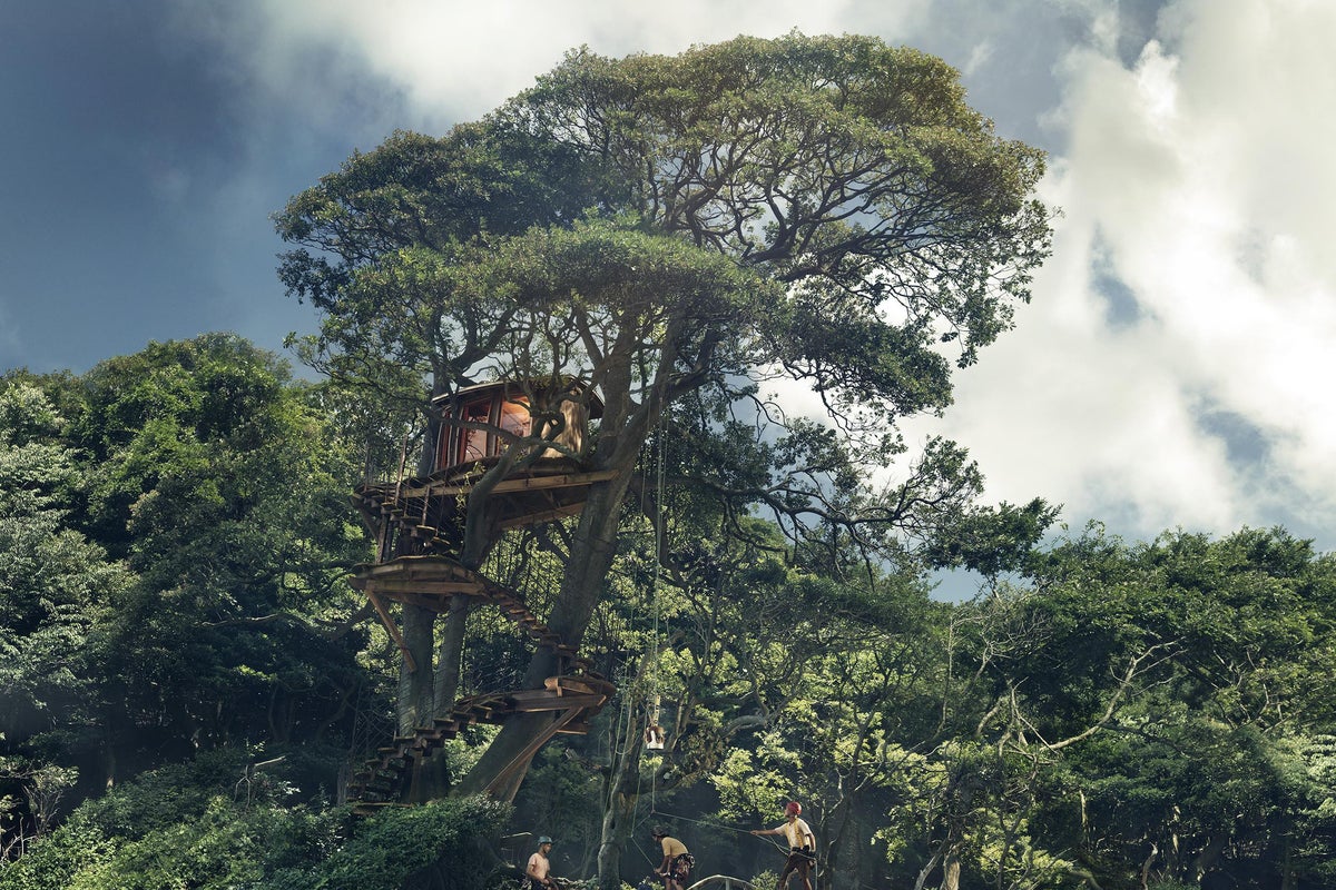 Meet the treehouse makers at the top of their game | The Independent ...