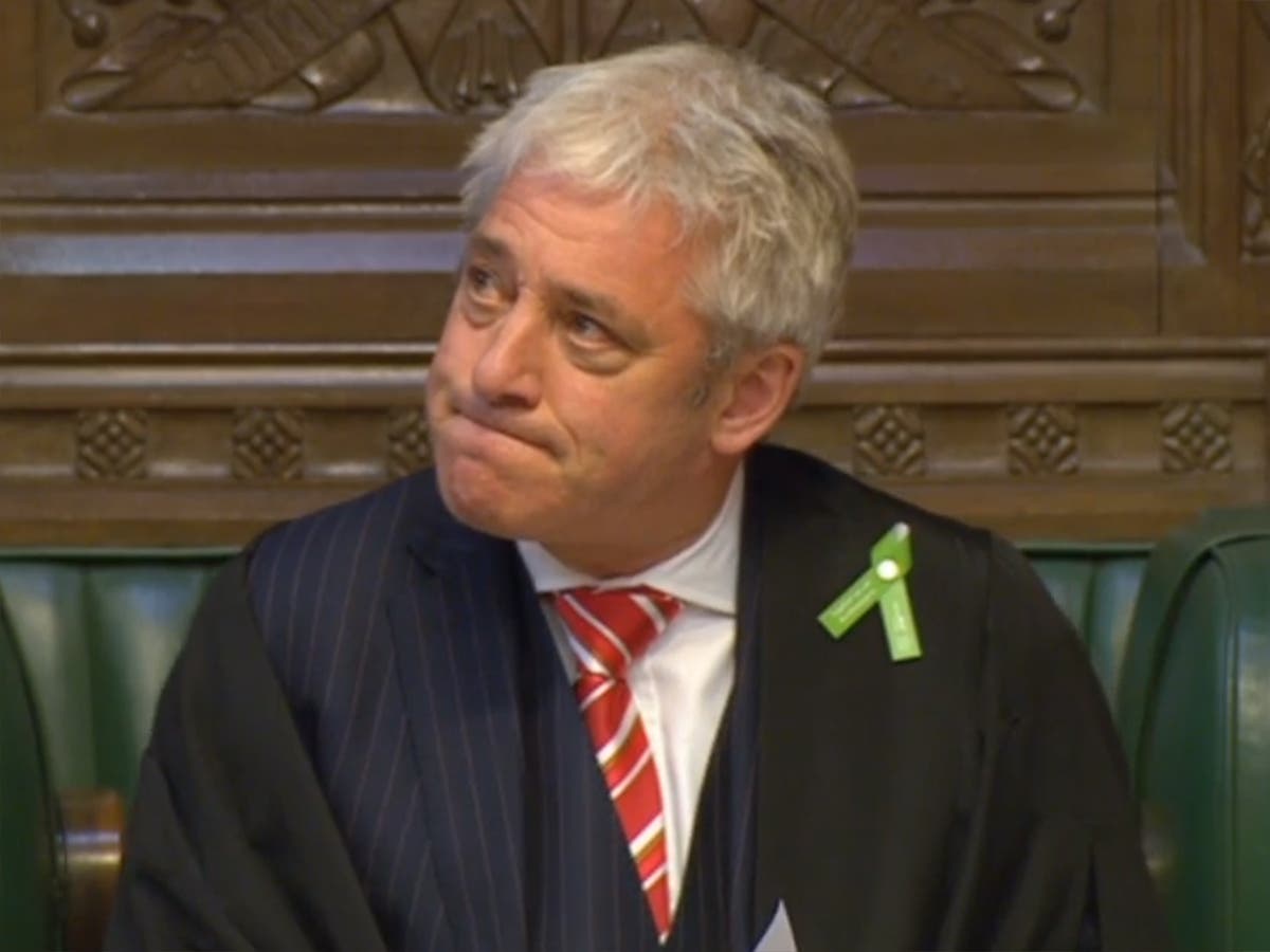 MPs arguing Bercow should stay on until after Brexit have a point – but ...