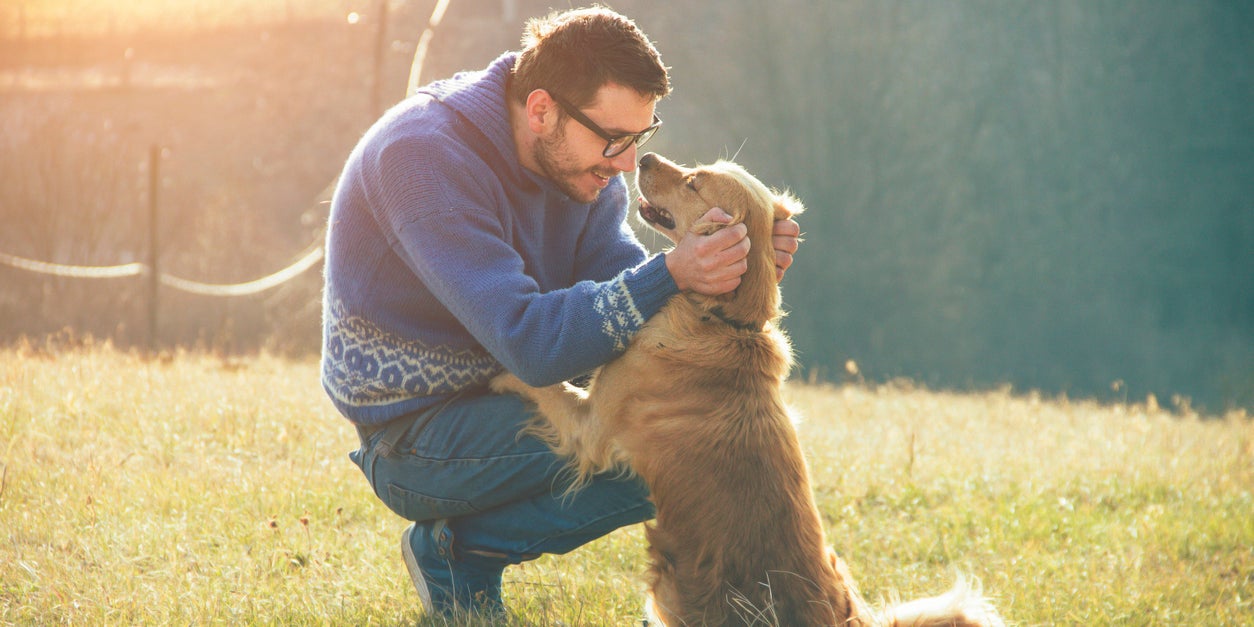 Dogs could be more rational than humans, according to this experiment ...