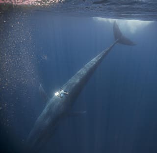 Five tips for underwater filming and photography, according to a Blue ...