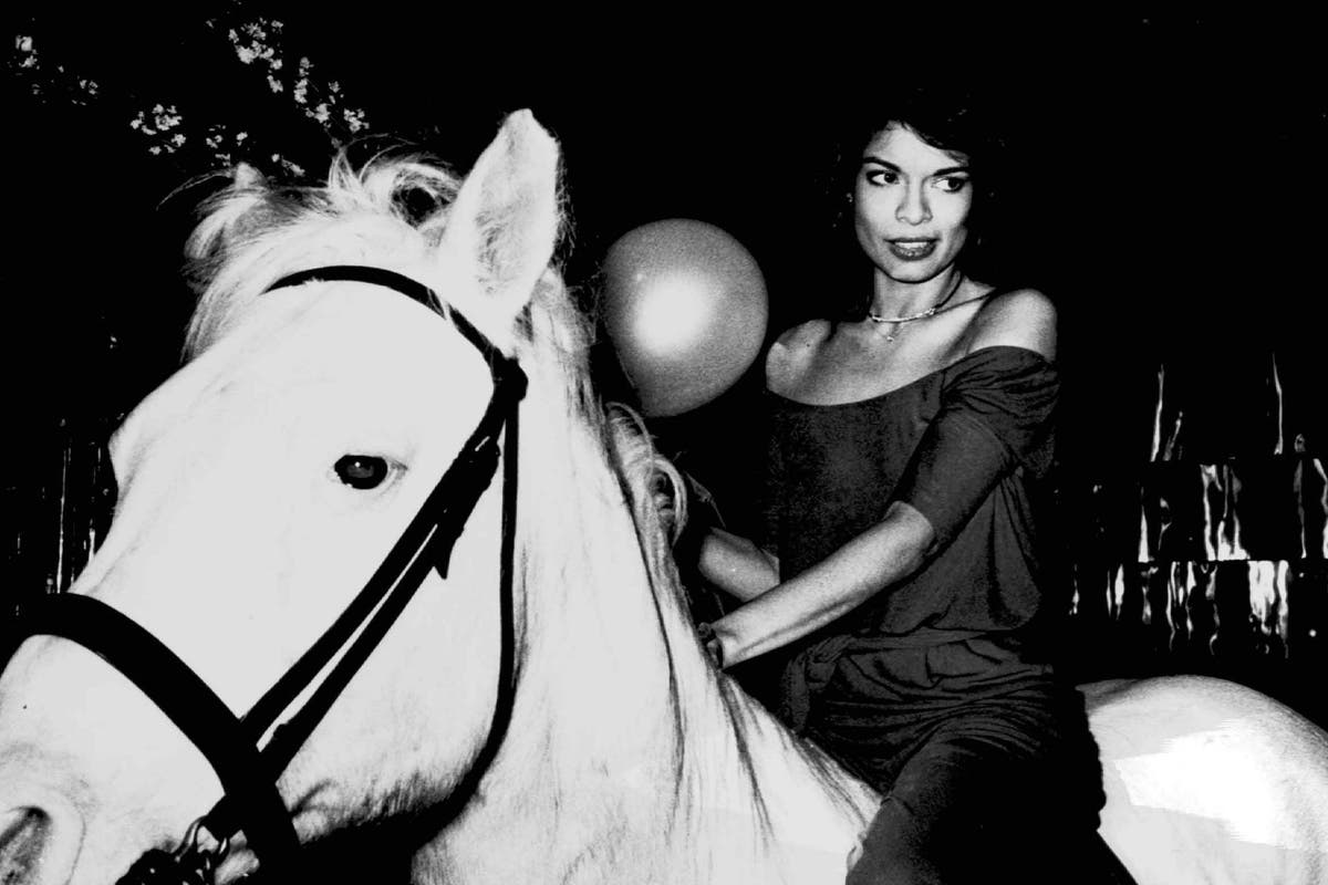 Studio 54 review: The glory days of disco remembered | The Independent ...