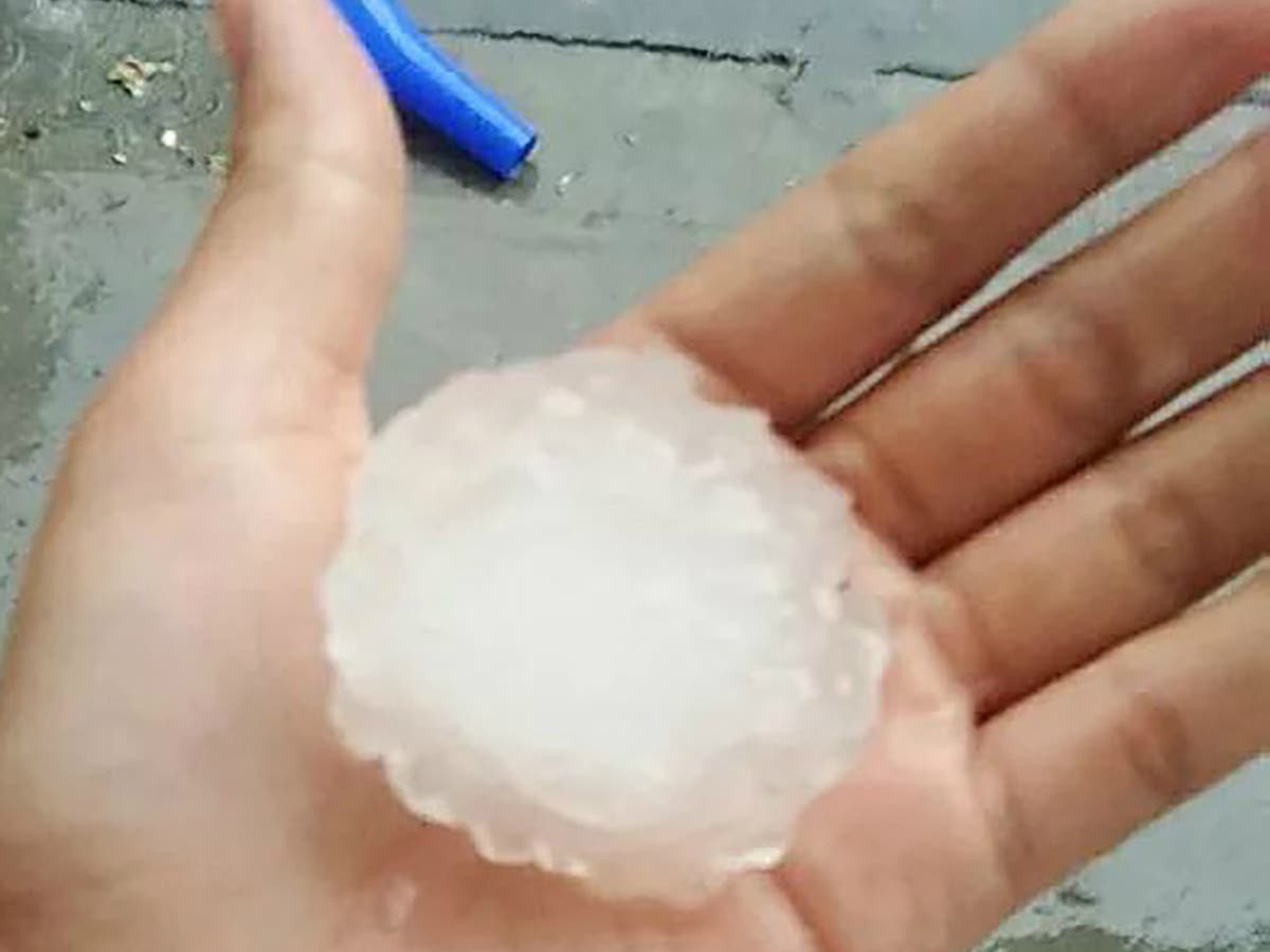 Sea creatures and giant hailstones rain down on Chinese city during ...