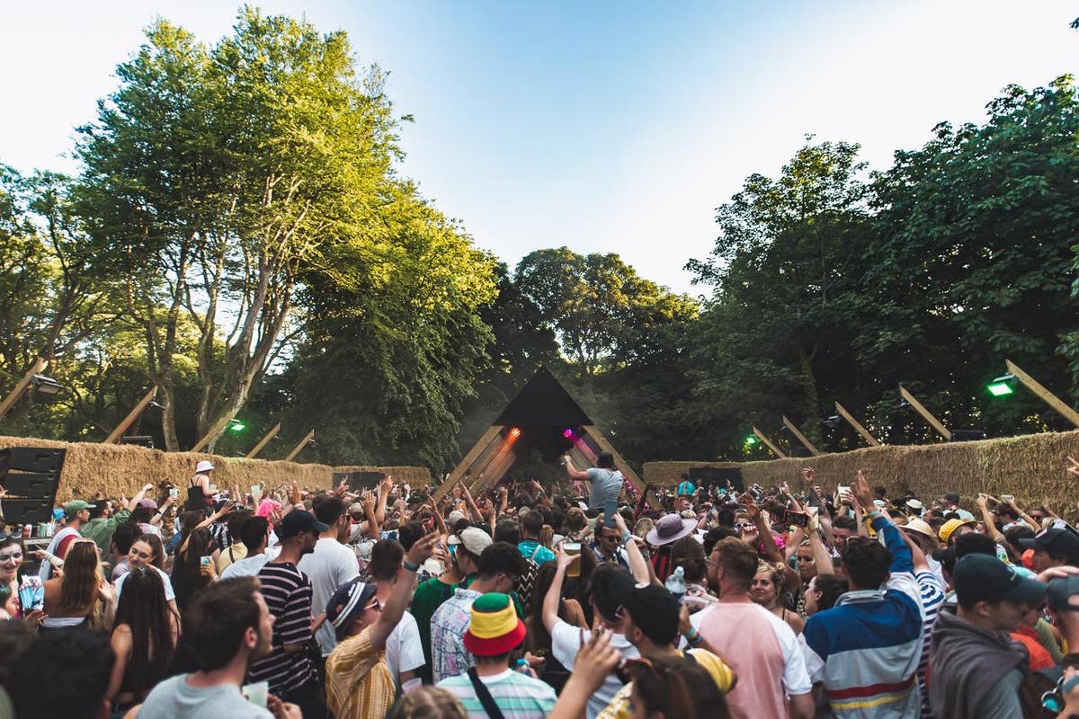Gottwood Festival 2018: Five best performances from the Welsh woodland ...