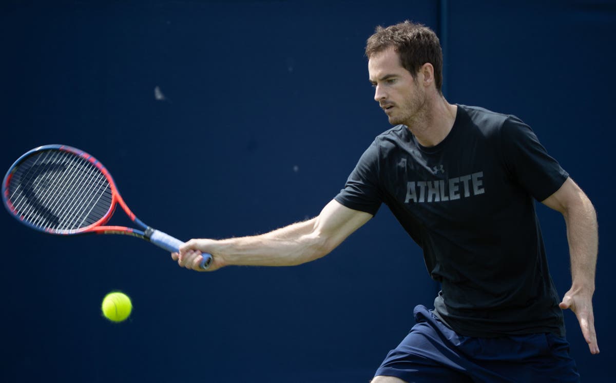 Wimbledon 2018 Andy Murray fitness: Former champion waits to see if he ...