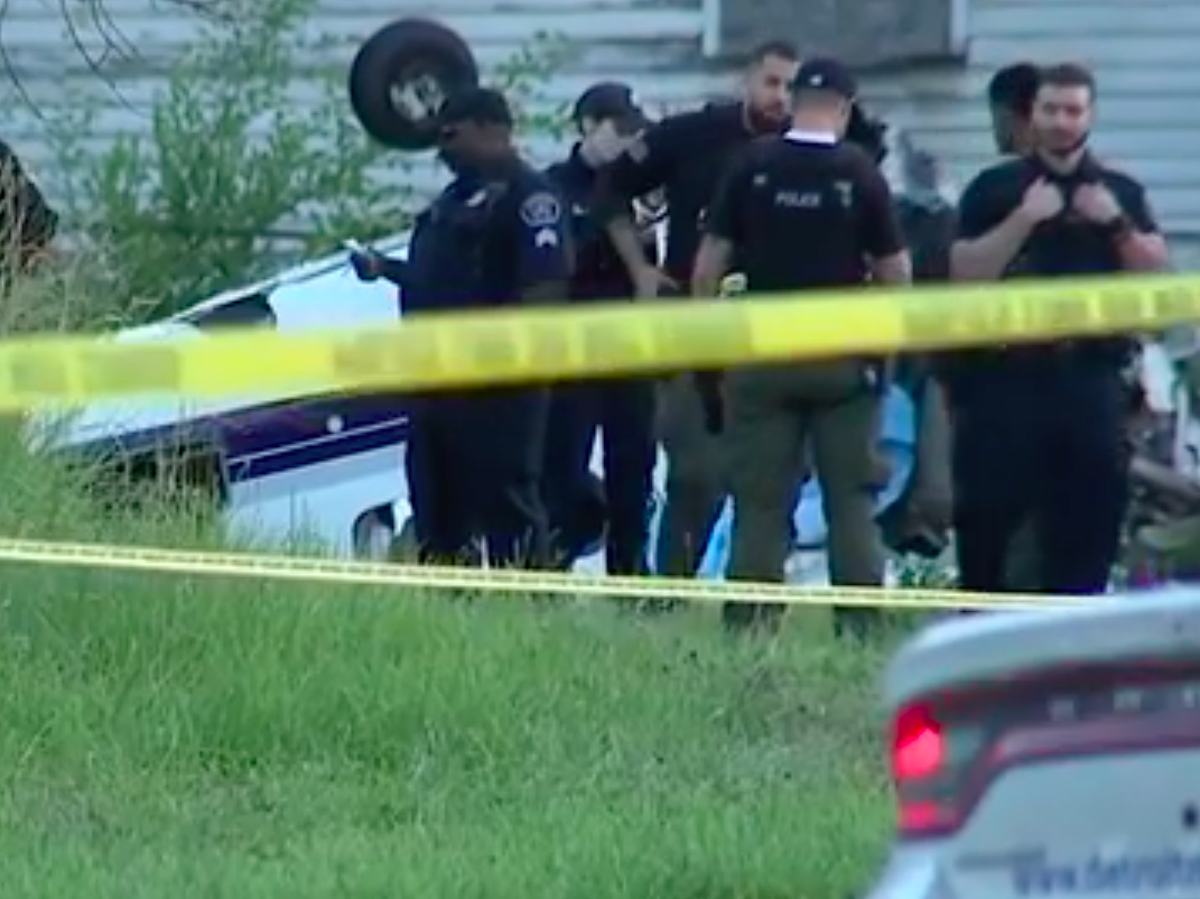 Teenager pulled alive from wreckage of Detroit plane crash that killed ...