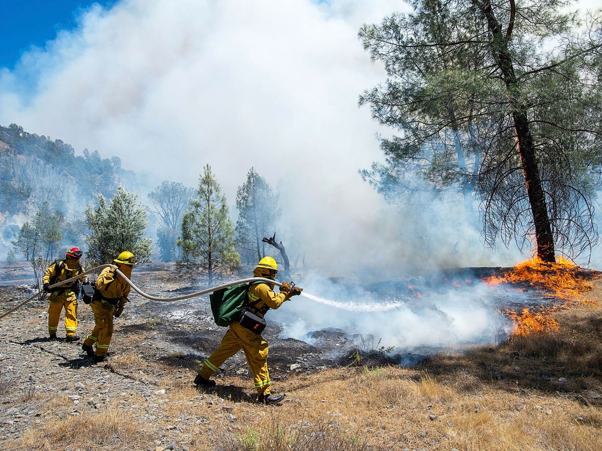 California wildfires trigger state of emergency after devouring over ...