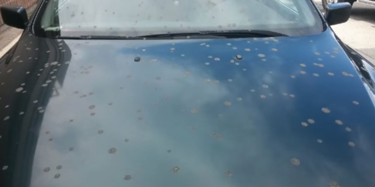 Poo is mysteriously falling from the sky in Canada and nobody can ...