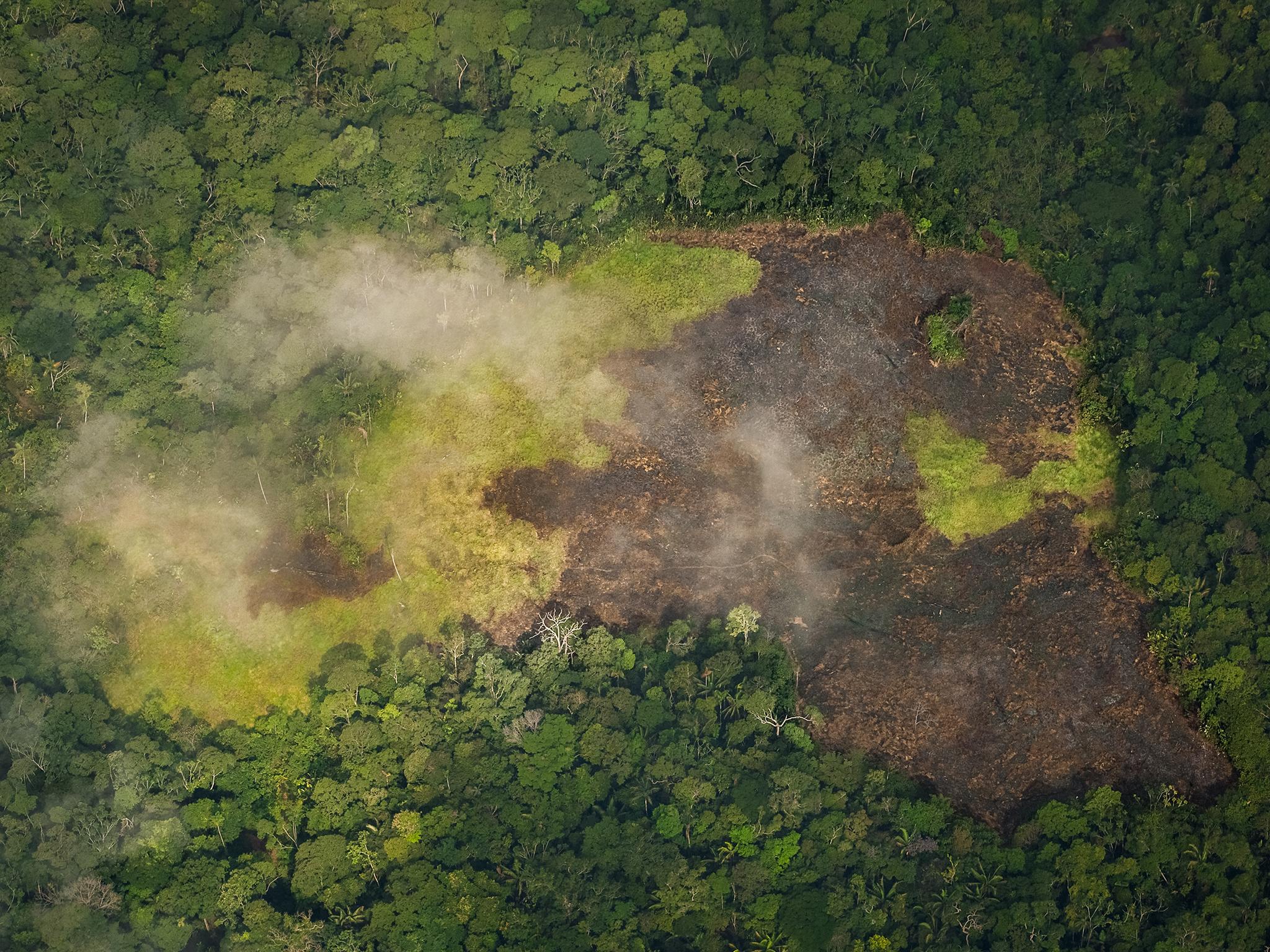 how much of the amazon rainforest is left - econhomes.com