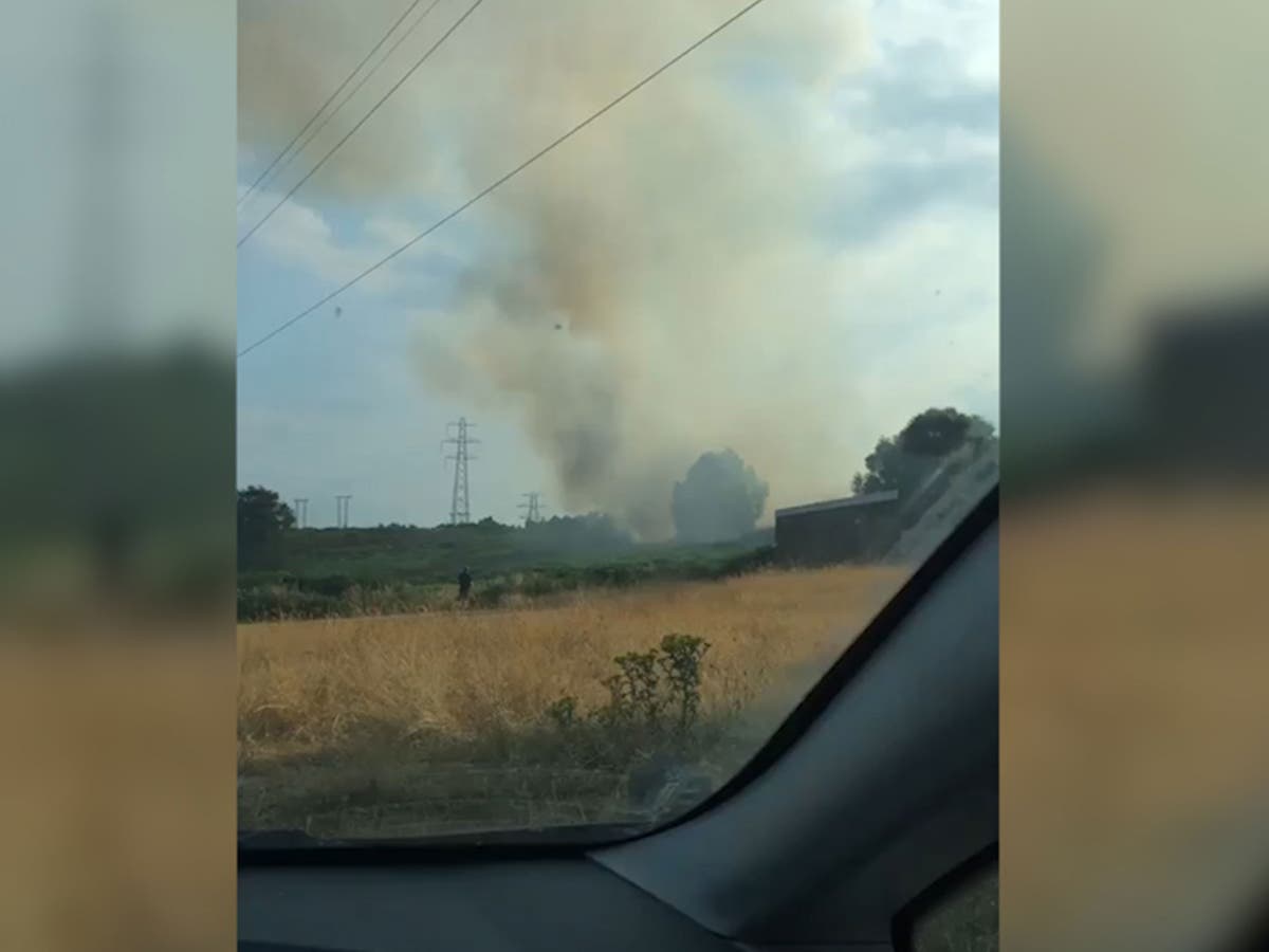Firefighters tackle blaze at Talbot Heath nature reserve | The ...