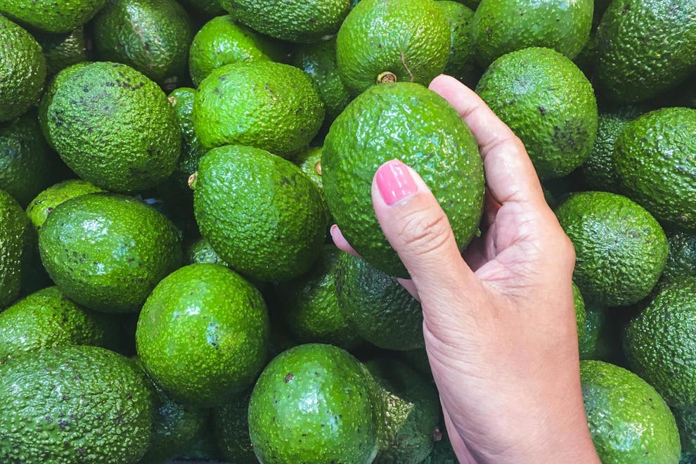 Giant head-sized avocados are on sale in Australia | The Independent ...