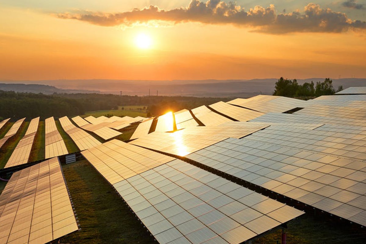 Demand for British solar panels spikes over Chinese slave labour fears ...