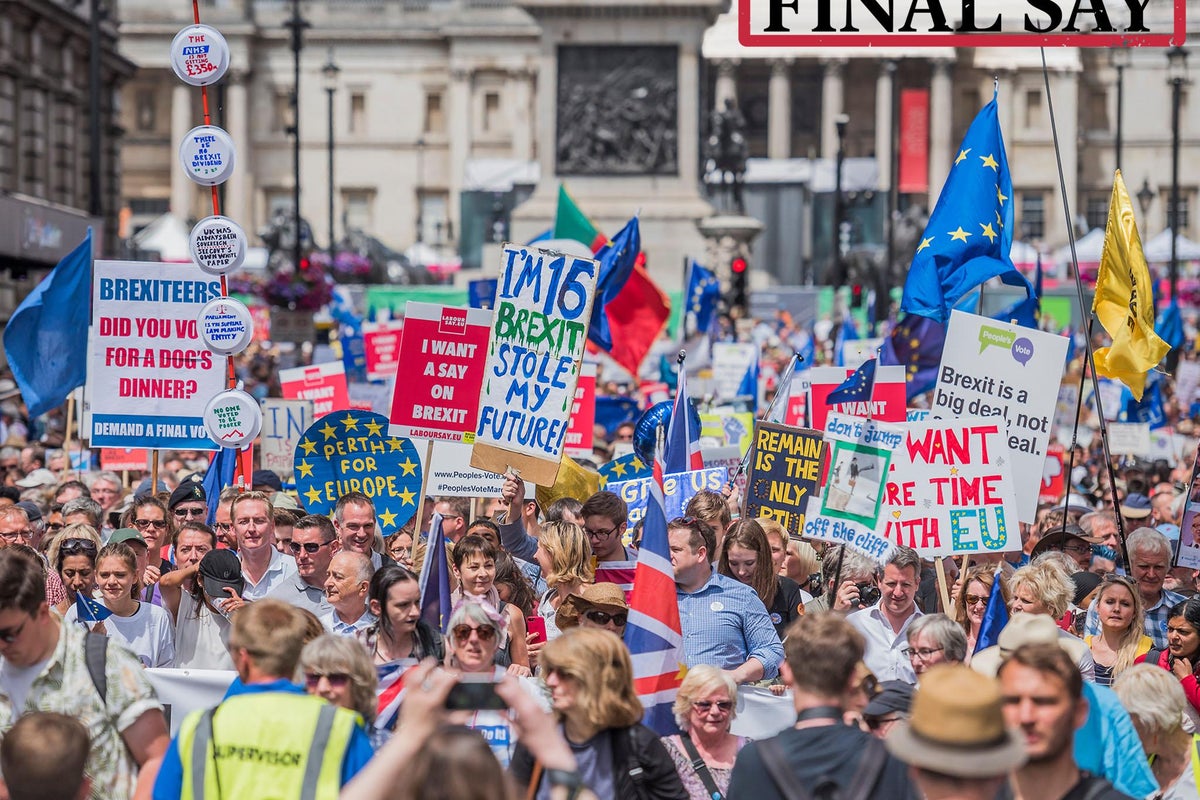Final Say: Half-a-million people have signed The Independent’s petition ...