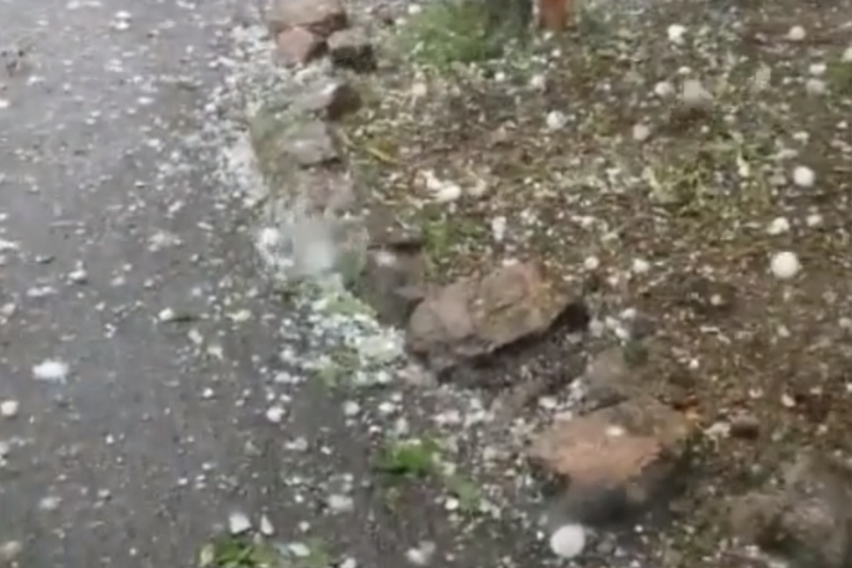 Massive hailstones kill two animals at US zoo | The Independent | The ...