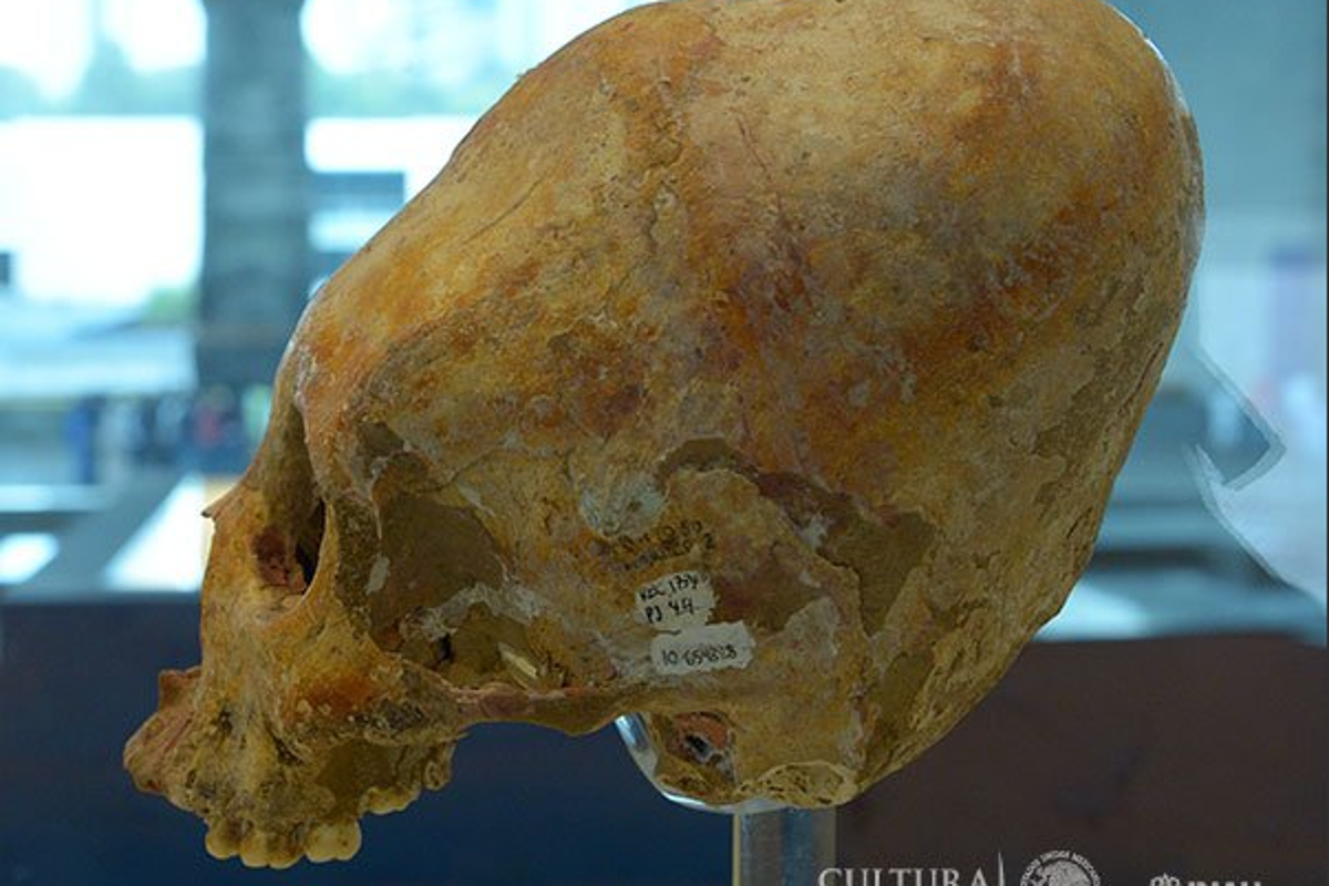 Ancient Mayan skeletons dating back 7,000 years discovered in Mexican ...