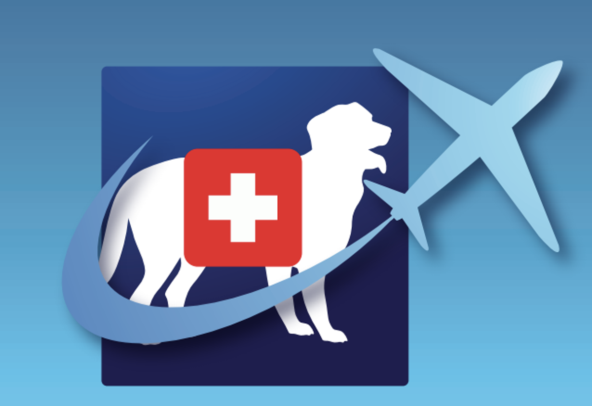 Emotional rescue: how an inflight animal can be a passenger’s best ...