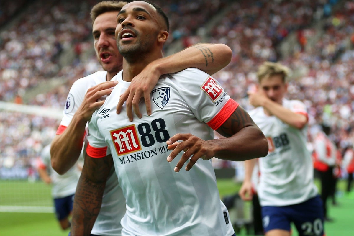 Callum Wilson and Steve Cook leave free-spending West Ham scratching ...