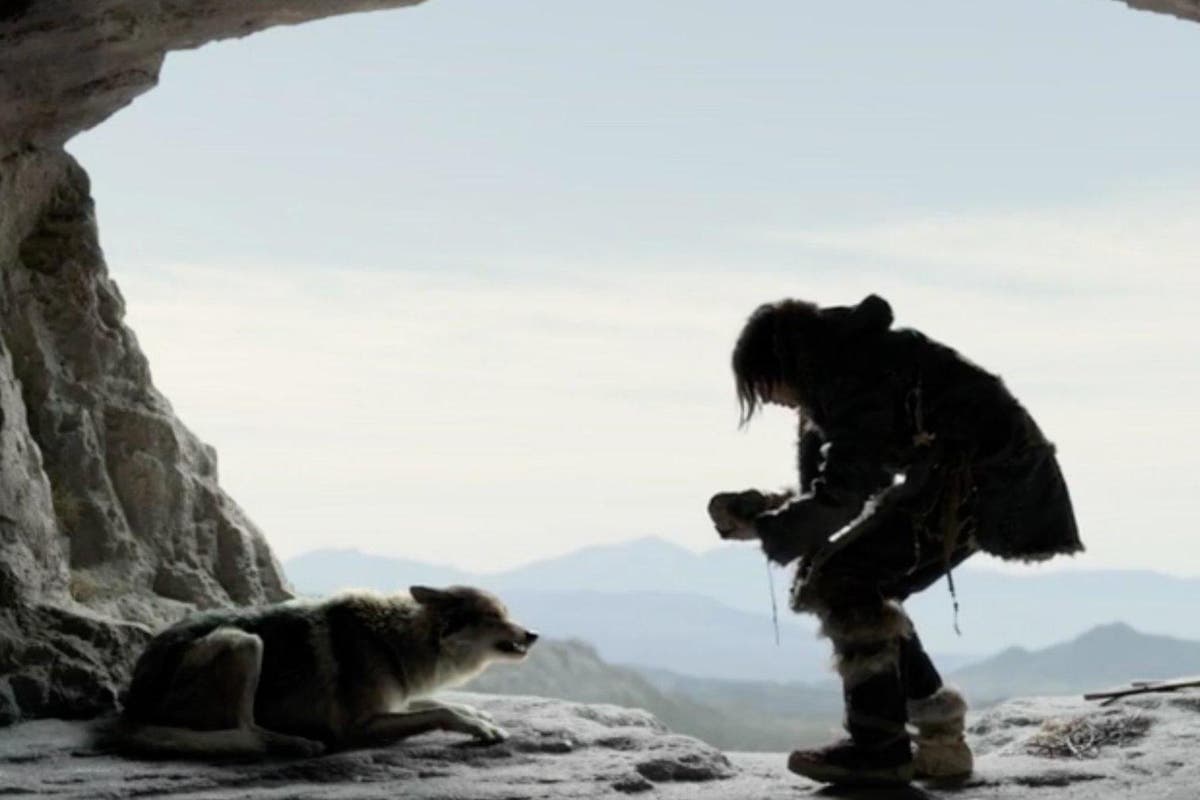 Alpha review: a Lassie movie done caveman style | The Independent | The ...