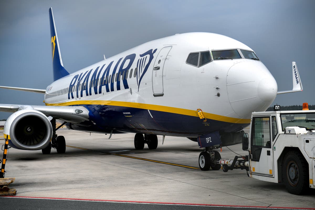 Ryanair strike: 250 flights cancelled in walkout | The Independent ...