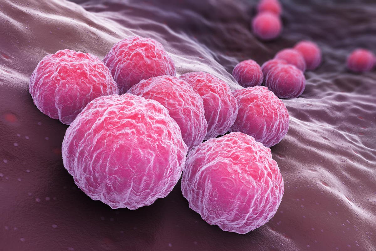 Chlamydia Vaccine Shown To Be Safe In First Ever Clinical Trial The