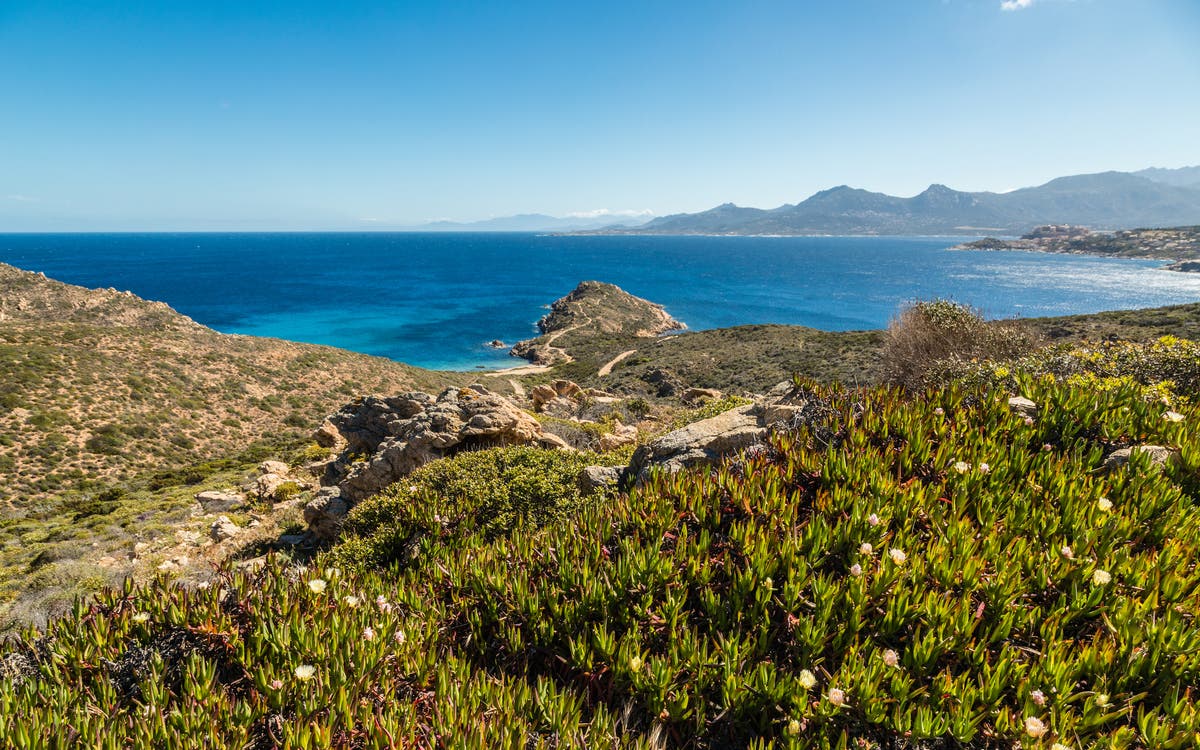 Why Corsica is the perfect place for a walking holiday | The ...