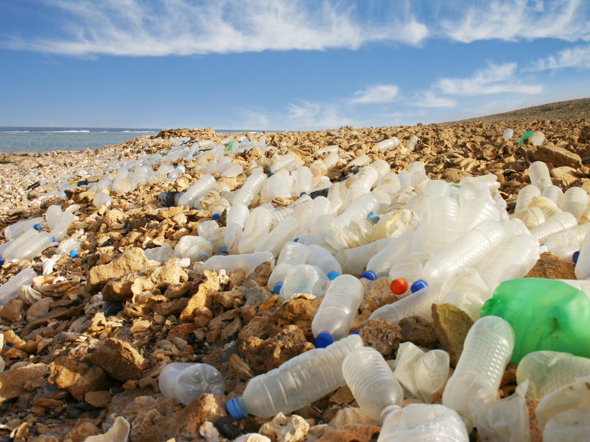 Coca-Cola and Nestle among worst plastic polluters based on global ...