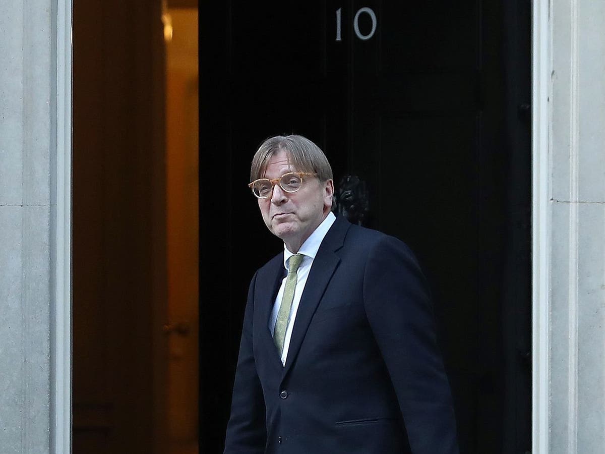 Brexit: Guy Verhofstadt says Conservatives and Labour have put politics ...