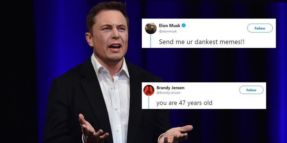 Elon Musk asked Twitter to send him their 'dankest memes' and it ...