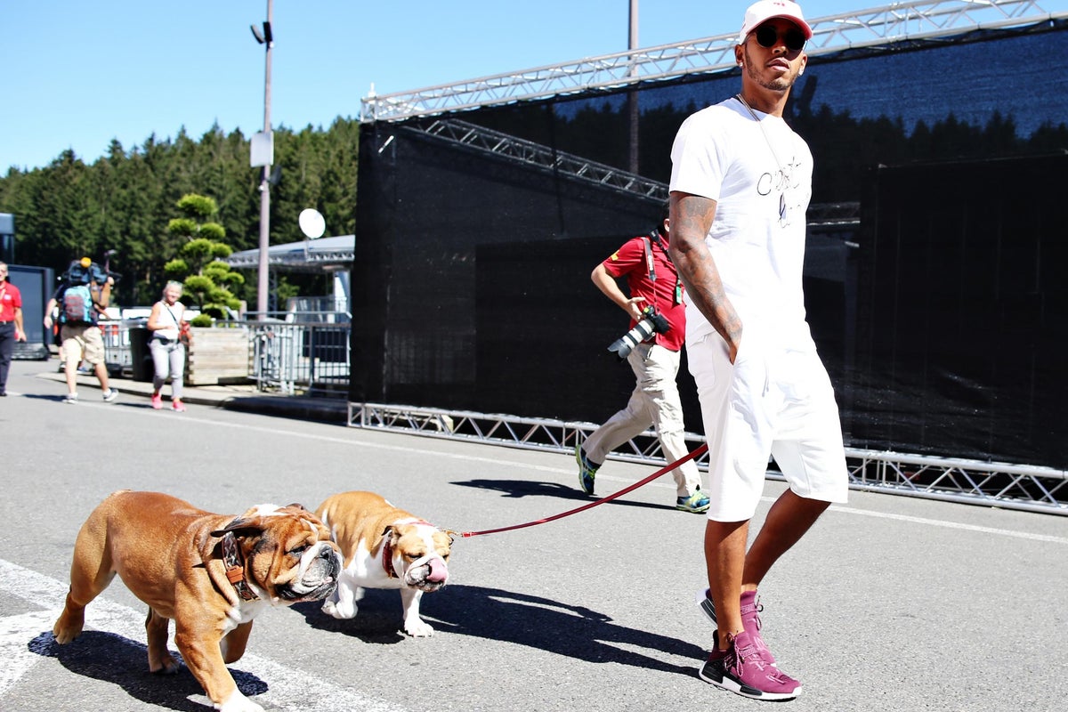 Lewis Hamilton to celebrate his fifth Formula One world title by ...