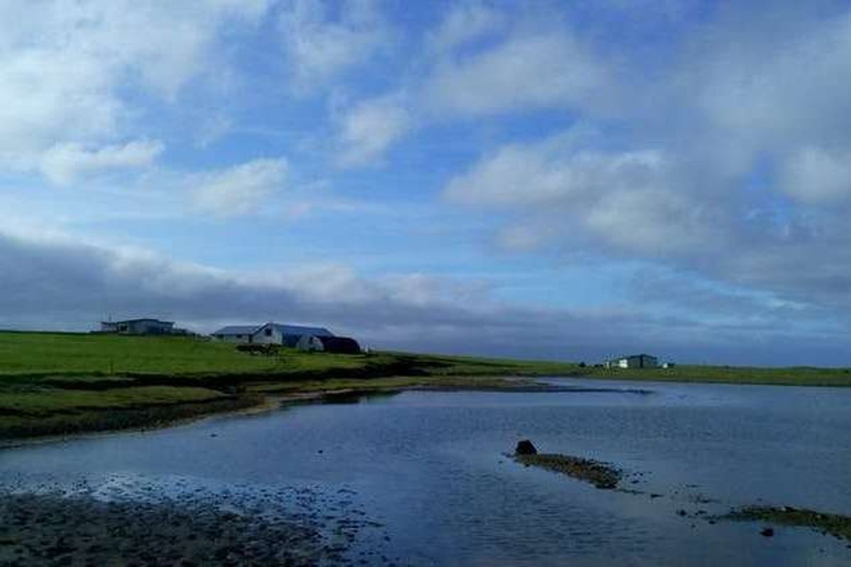 In Icelandic prisons, the cells are open and inmates do the weekly food ...