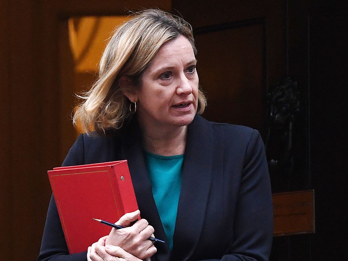 Amber Rudd’s call for a cross-party consensus on Brexit is the best way ...