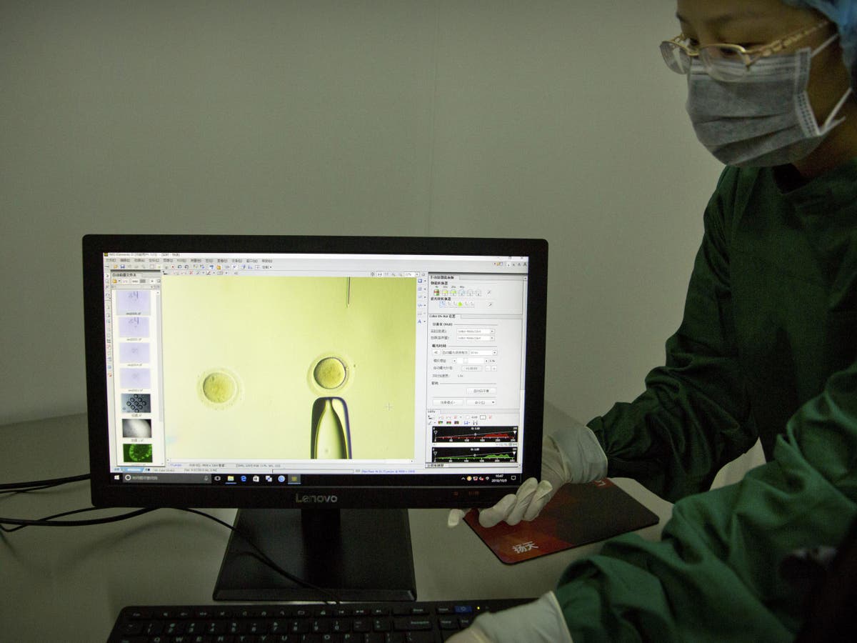 Claims of genetically altered babies must be treated with caution | The ...