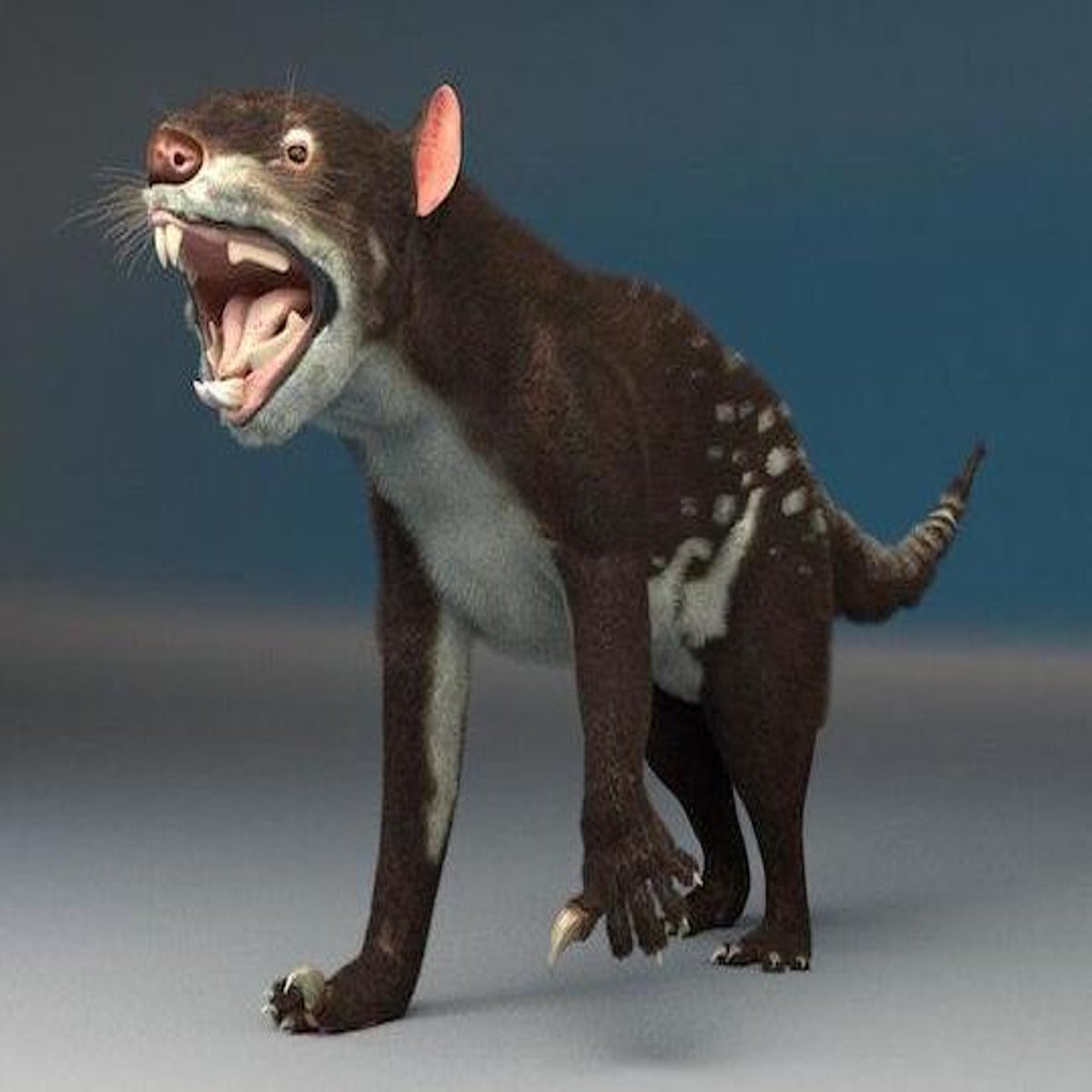 Marsupial Lion JWTG Designs Vs. JWA Designs? Day 18: Marsupial