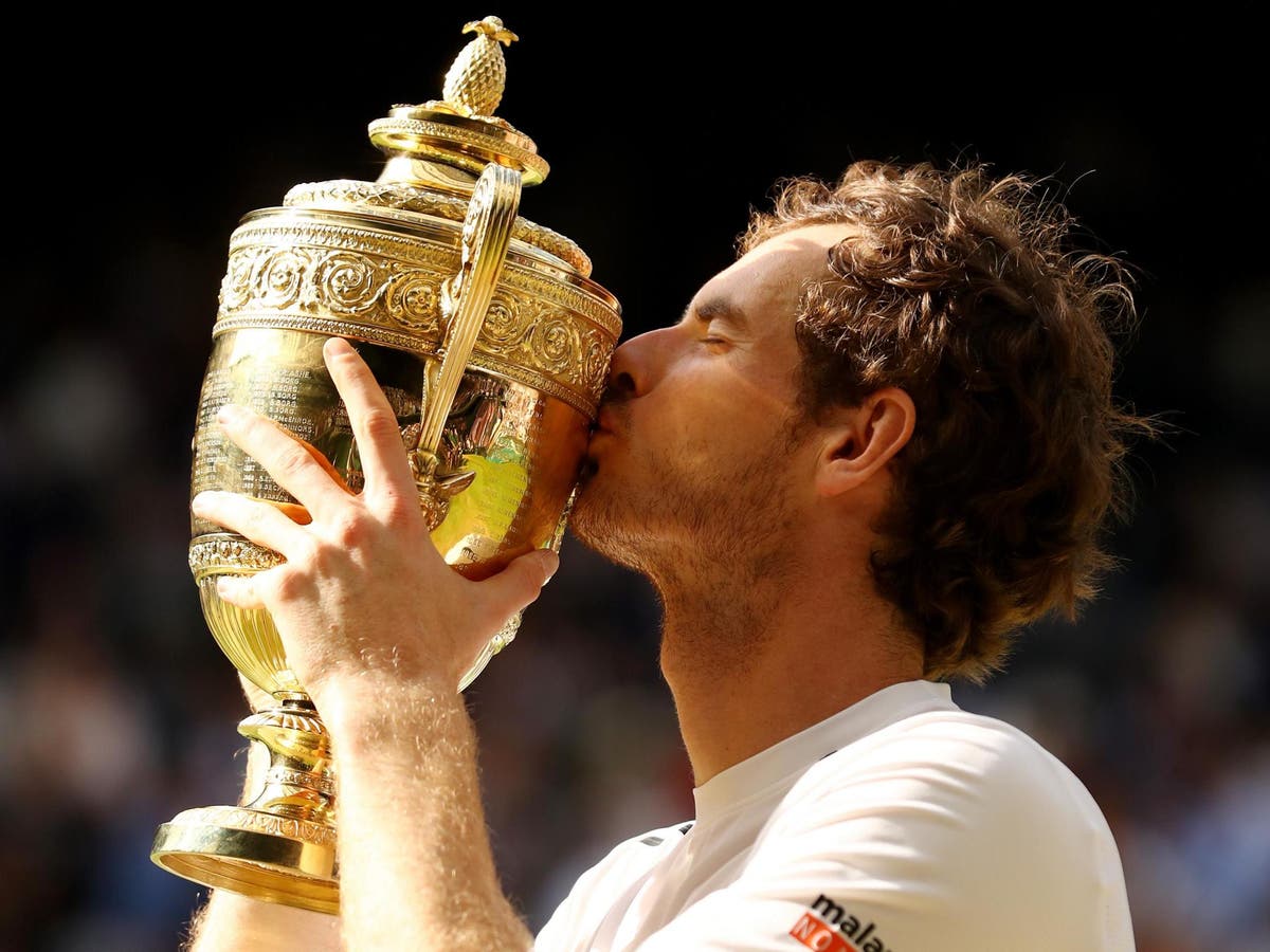 Goodbye Andy Murray, a human in the land of the Gods, a testament to ...