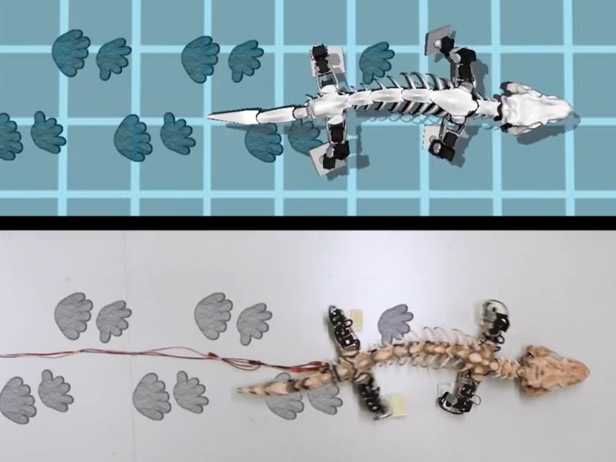 Animals may have perfected art of walking on land earlier than ...