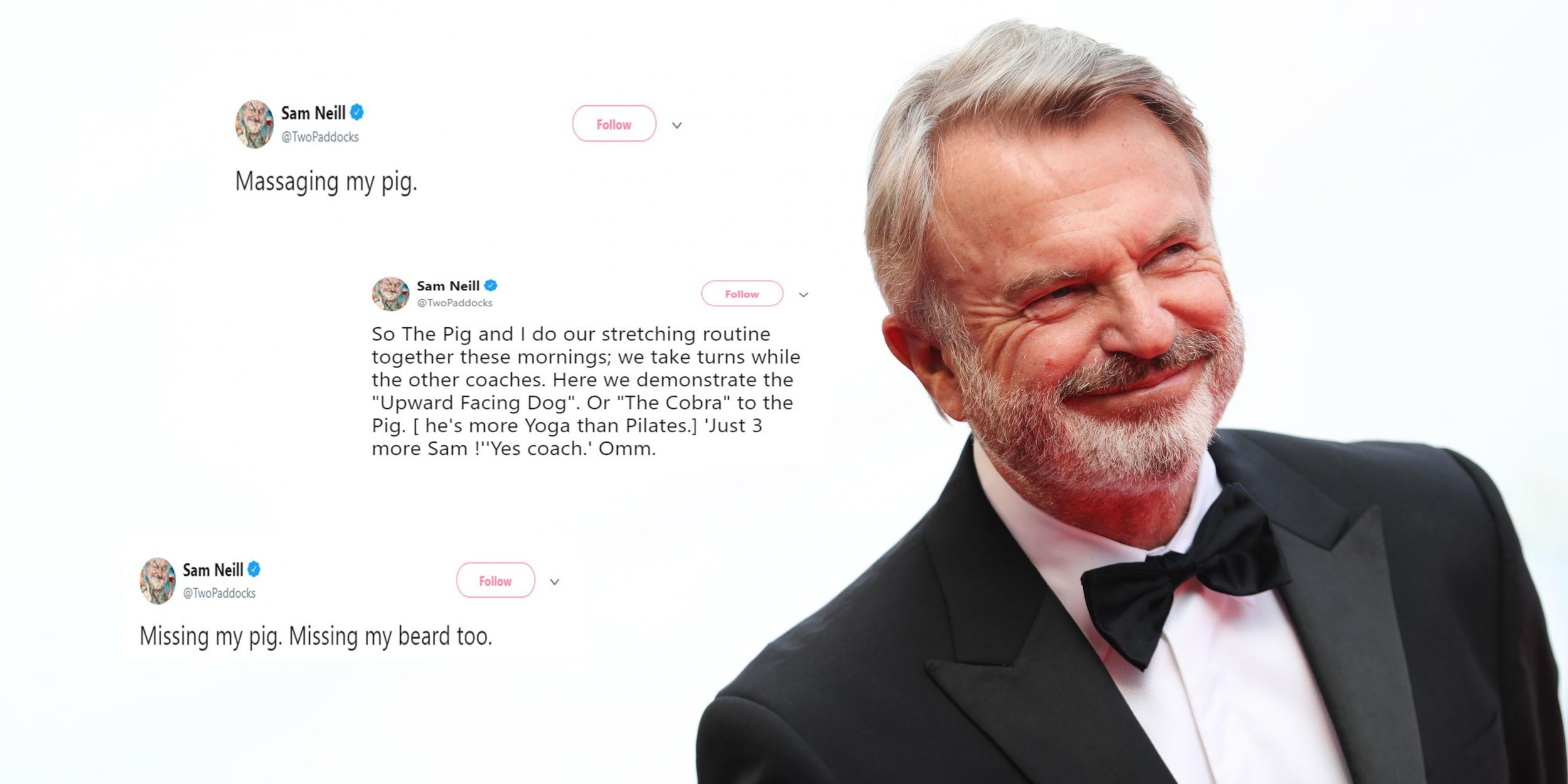 Sam Neill and his pet pig do yoga together – and the internet loves it ...