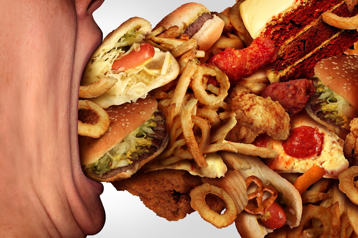 The Top 10: back-formations | The Independent | The Independent