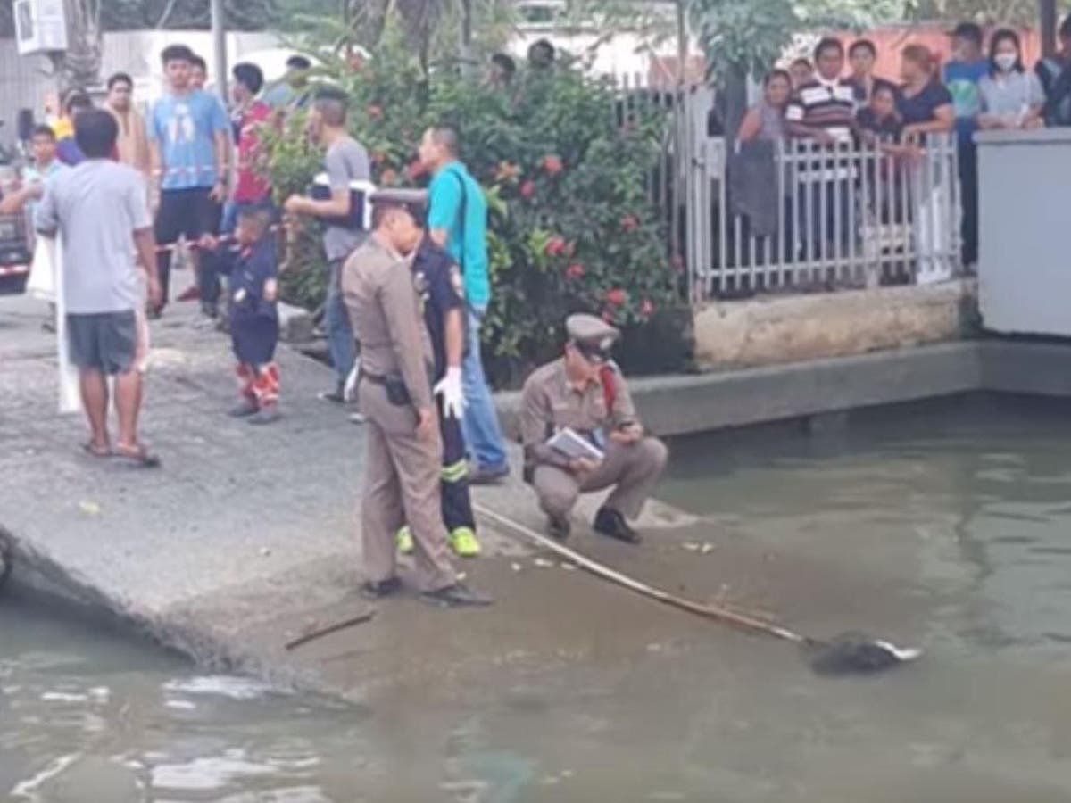 Two headless bodies and woman's head mysteriously wash up on Thai ...