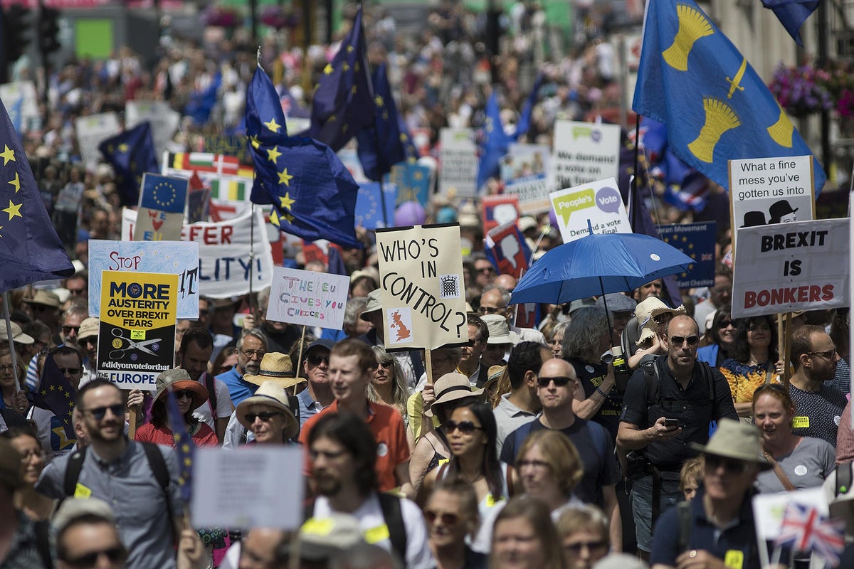 Brexit protest: Seven Labour frontbenchers among dozens of MPs to join ...