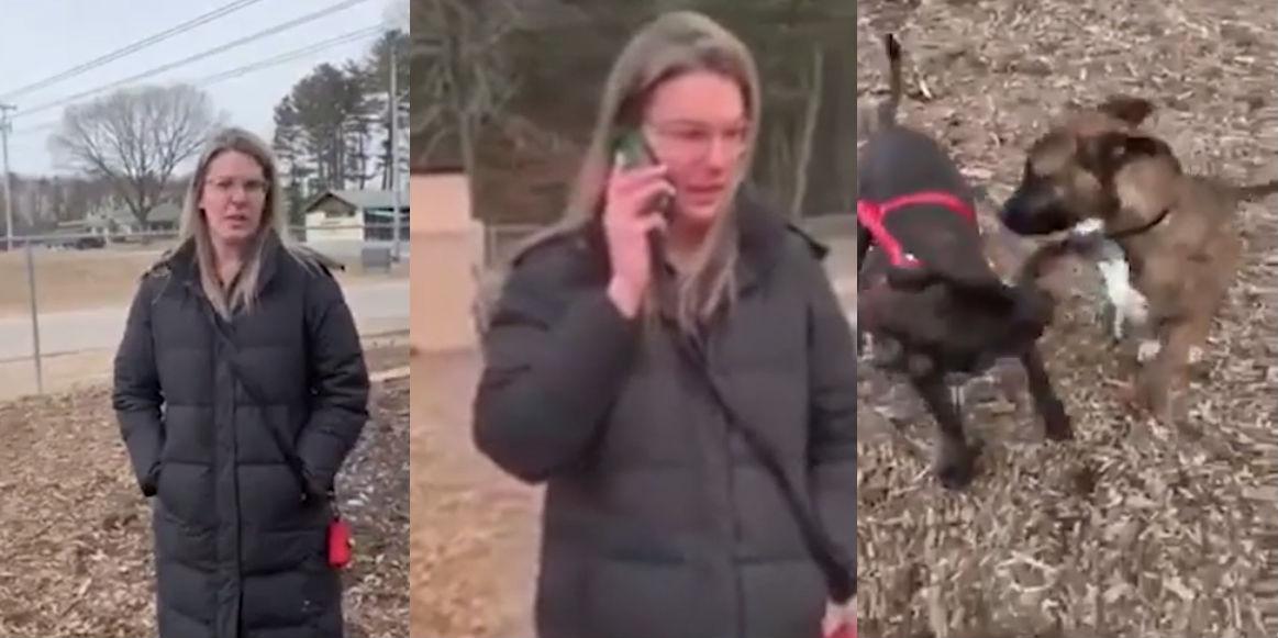 'Dog Park Debbie' calls police on black man with an excitable dog ...