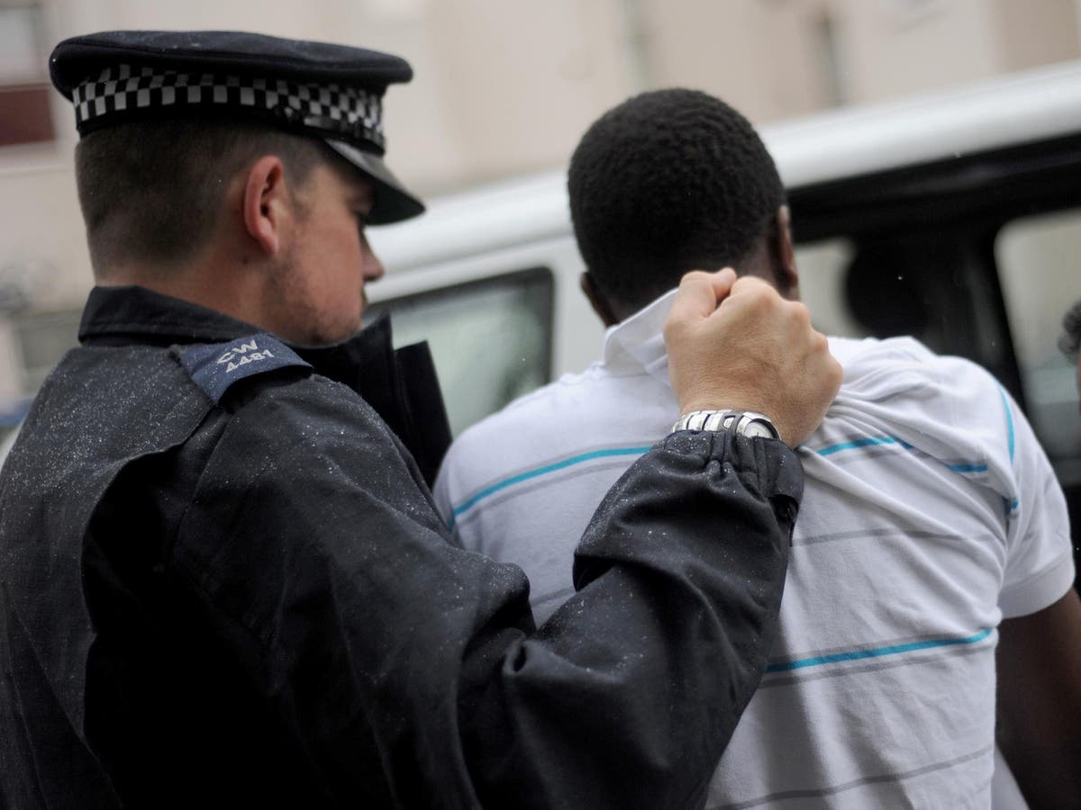 Concern hub: New Metropolitan Police gang database sparks privacy and ...